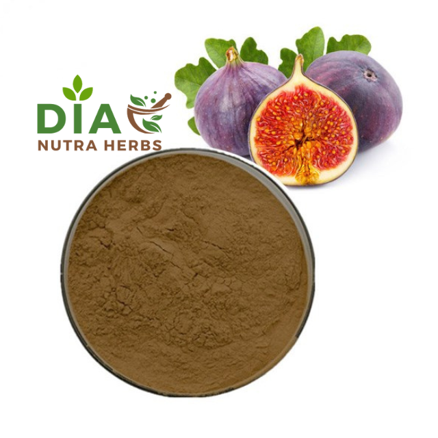 Fig Extract Powder - dianutraherbs.com